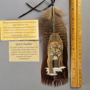 Big Cats Spirit Feather, Feather Art, Painted Feathers, Animal Totems ...