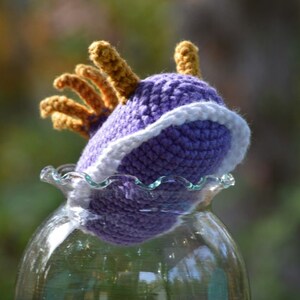 Purple Sea Slug Crochet Pattern *PATTERN ONLY* - Etsy