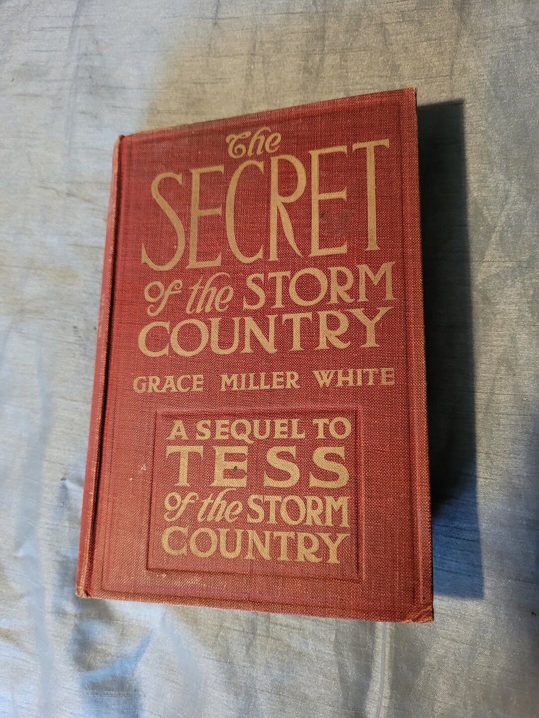 The Secret of the Storm Country Vintage 1917 Book - Etsy