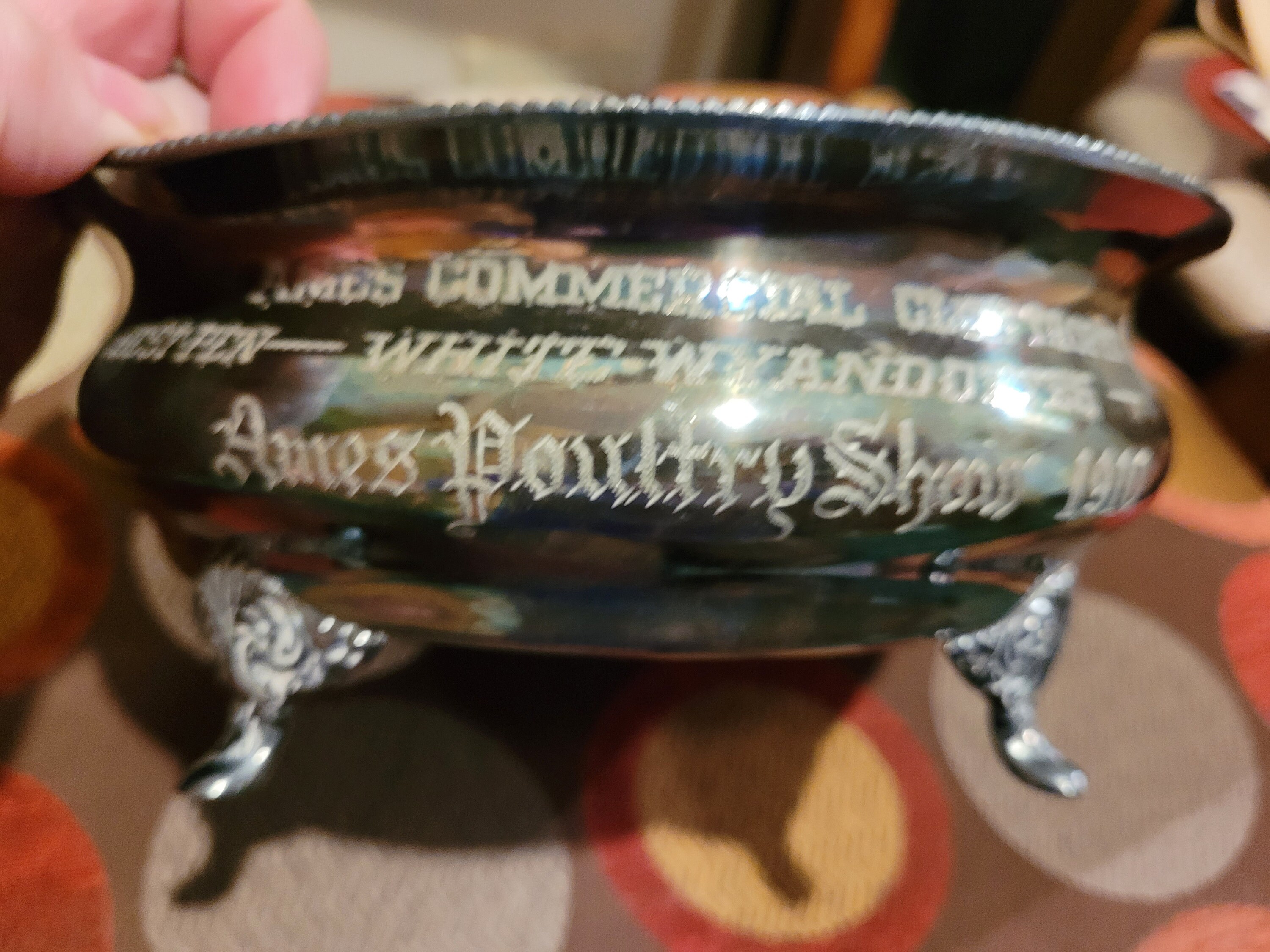 1910 Silver Plate Trophy Ames Commercial Club Wyandotte Pen of Chickens ...