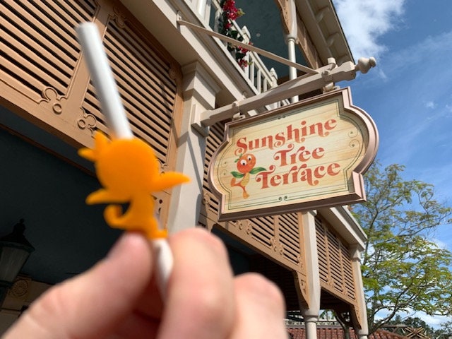 Disney Orange Bird Epcot Flower and Garden Festival Straw - Etsy