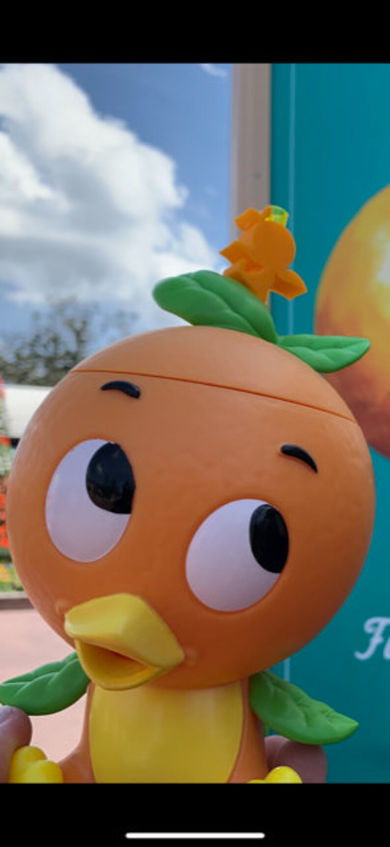 Disney Orange Bird Epcot Flower and Garden Festival Straw - Etsy