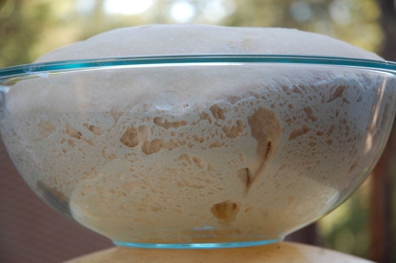Taylor Swift is Making Sourdough Bread, We Make Sourdough Starters This ...