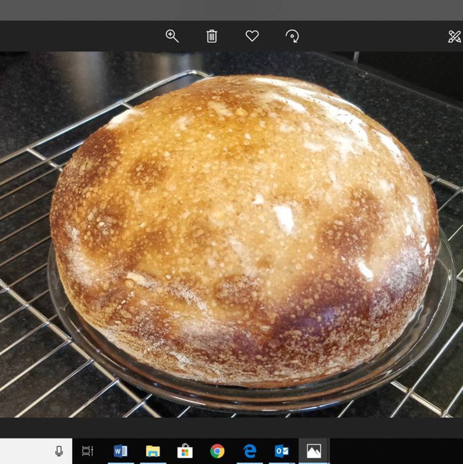 ALASKAN SOURDOUGH STARTER bread yeast very strong alaska sour | Etsy