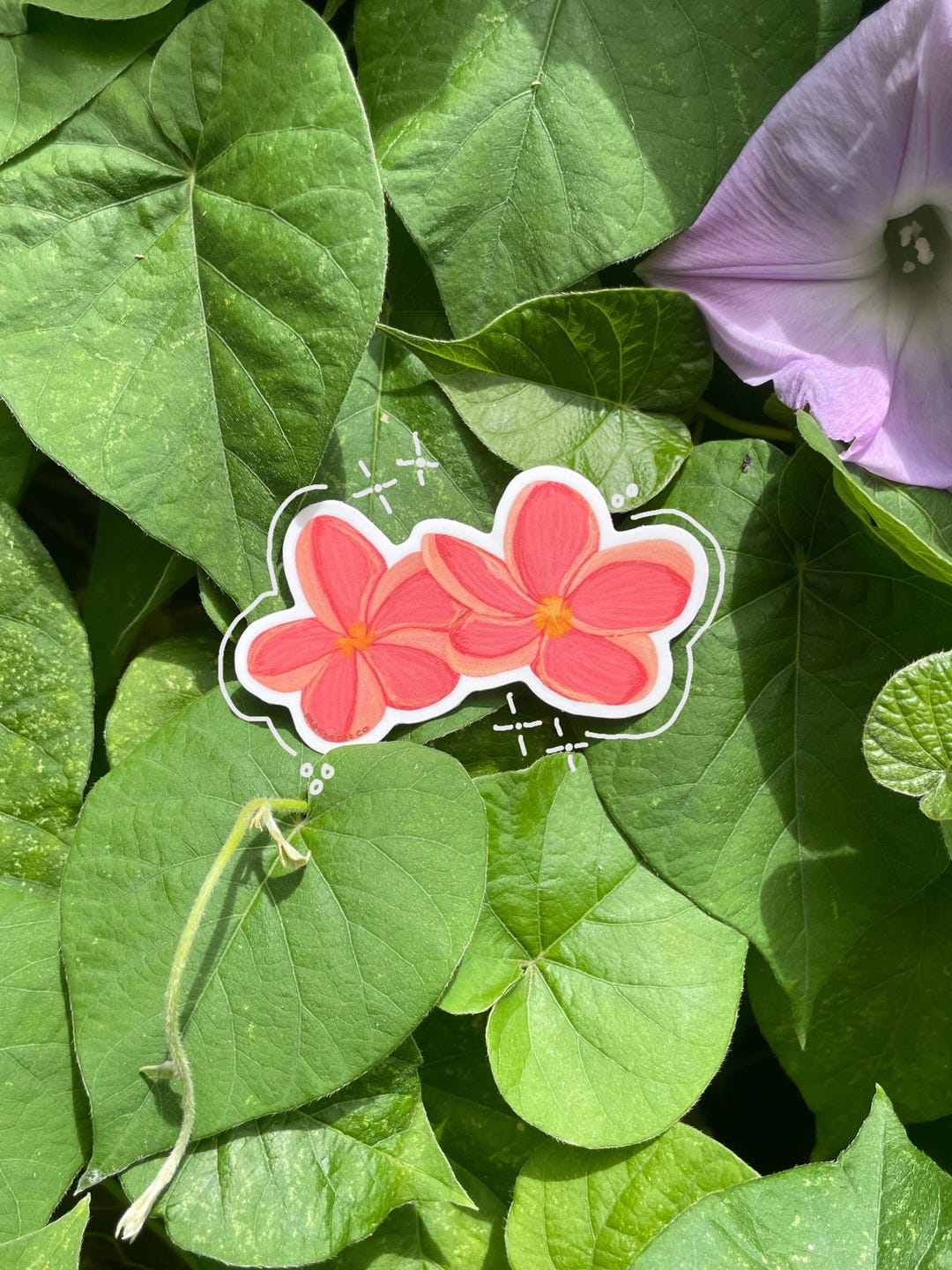 Plumeria Flower Sticker - Etsy