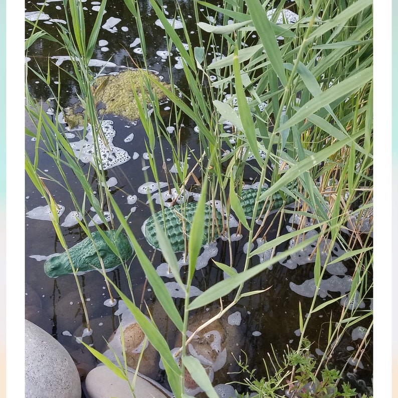 Floating Green Alligator Yard Decor. Pond Waterfall Lawn - Etsy