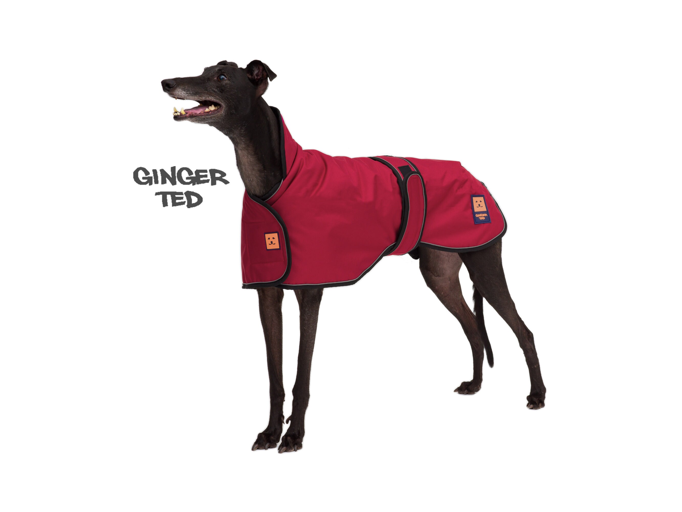 Waterproof Greyhound Whippet Ginger Ted Greyhound Shower | Etsy UK