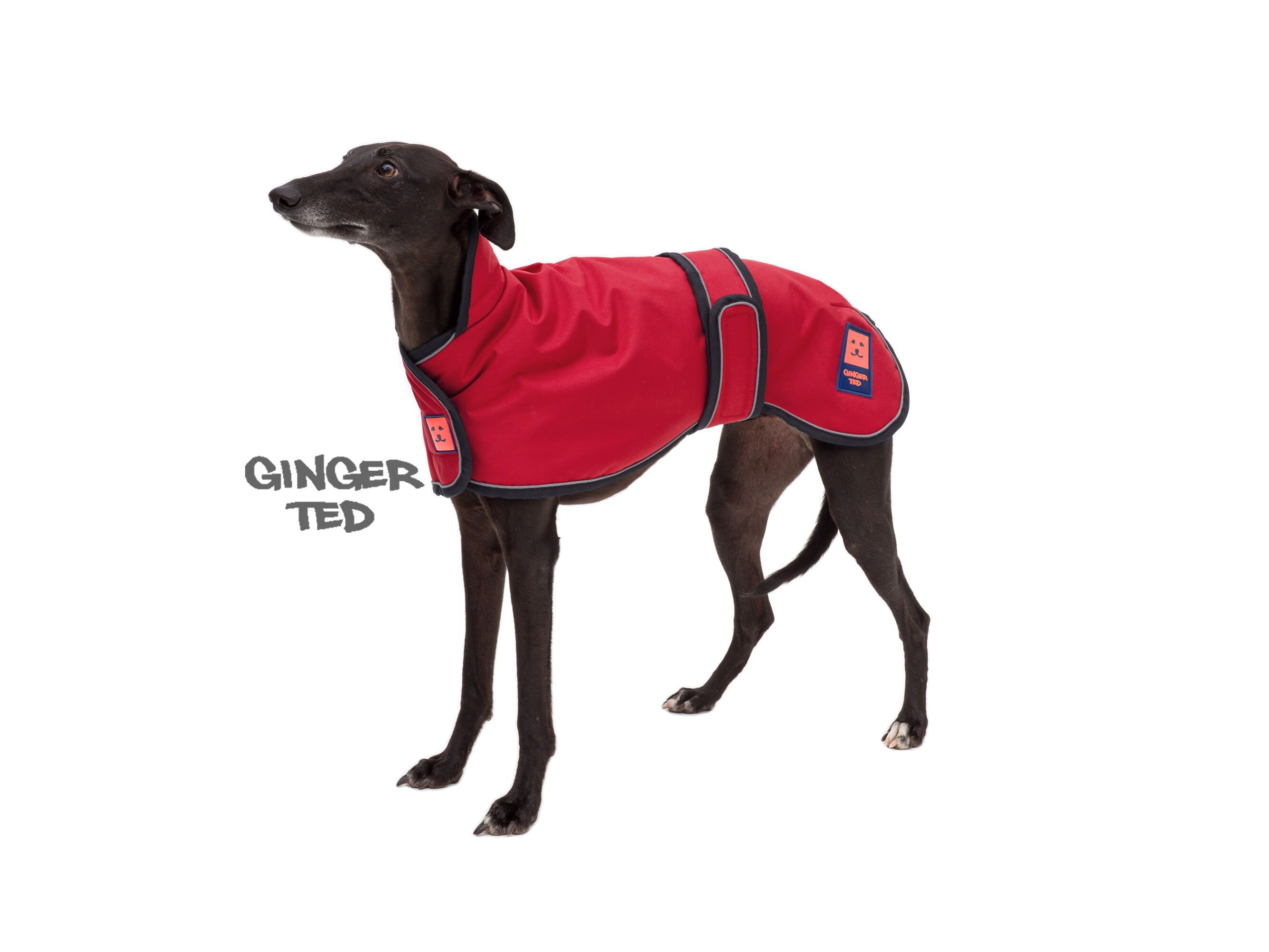 Waterproof Light Greyhound - Ginger Ted Shower LITE Greyhound Whippet ...