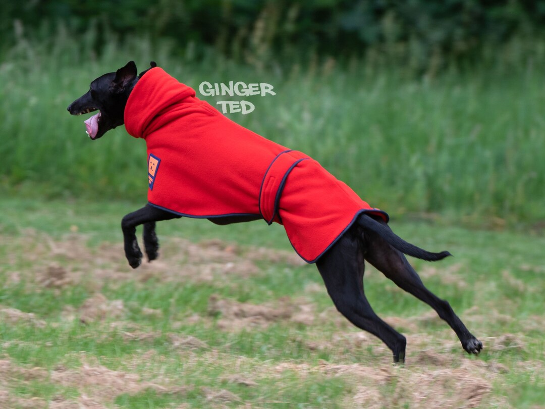 Fleece Greyhound Whippet - Ginger Ted Cosy Fleece Greyhound Whippet ...
