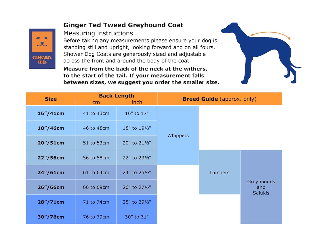 Tweed Greyhound Whippet - Ginger Ted Tweed Greyhound Whippet Lurcher ...
