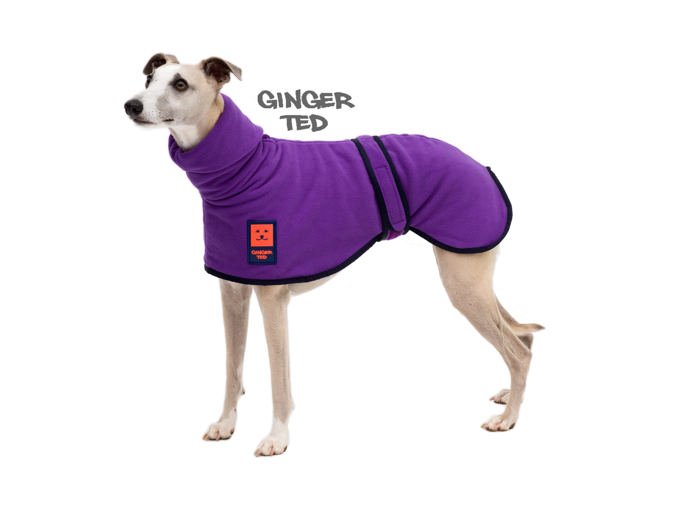 Fleece Greyhound Whippet Ginger Ted Cosy Fleece Greyhound | Etsy UK