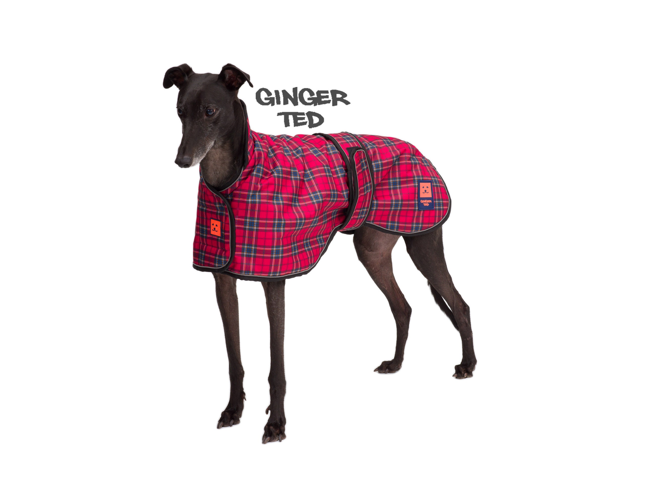 Waterproof Greyhound Whippet Ginger Ted Greyhound Shower | Etsy UK