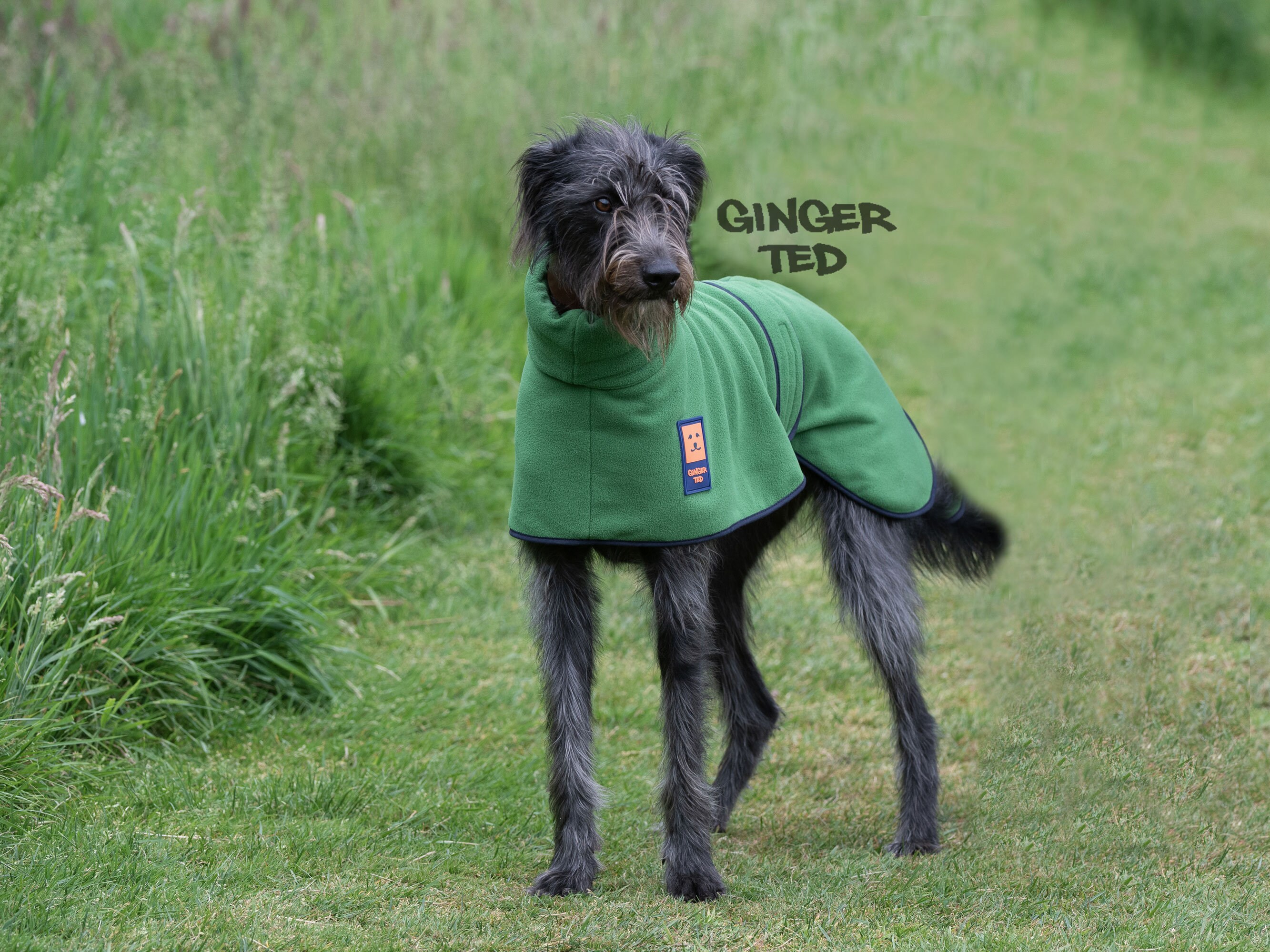 Fleece Greyhound Whippet Ginger Ted Cosy Fleece Greyhound | Etsy UK