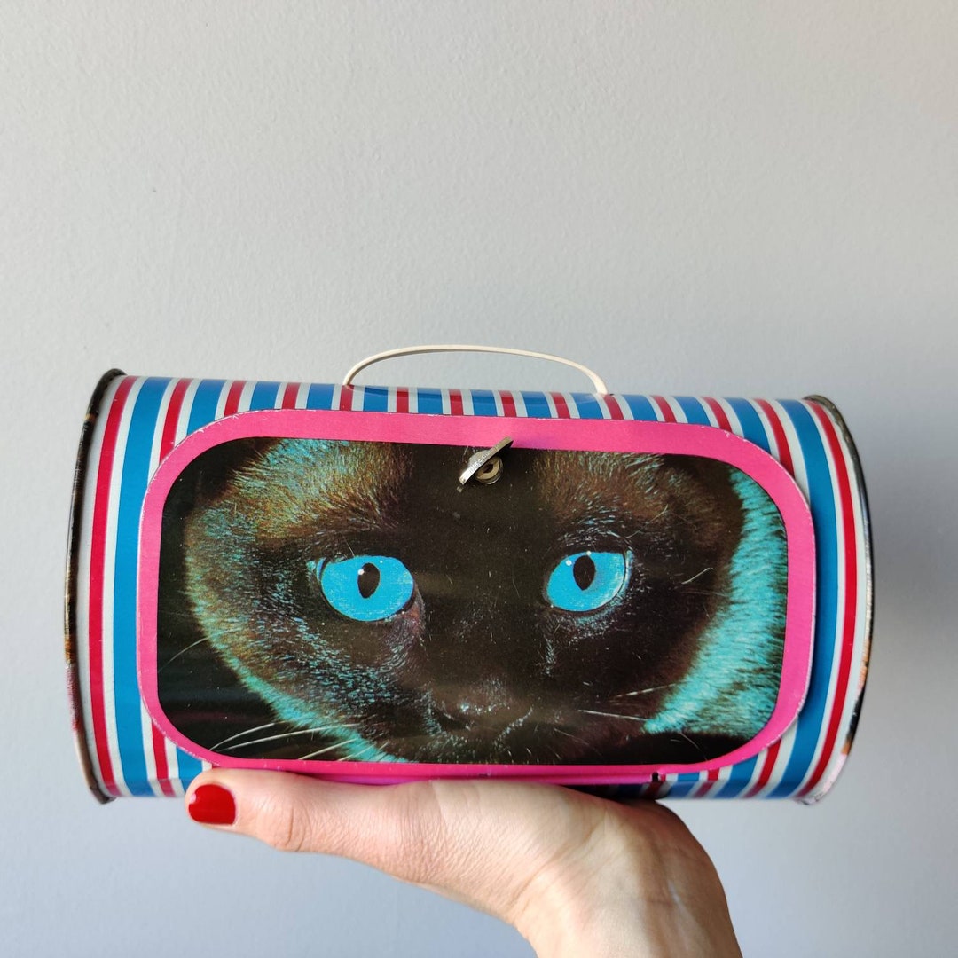 Adorable Soviet Vintage Oval Tin Case, Russian Kids' Lunch Box, With ...