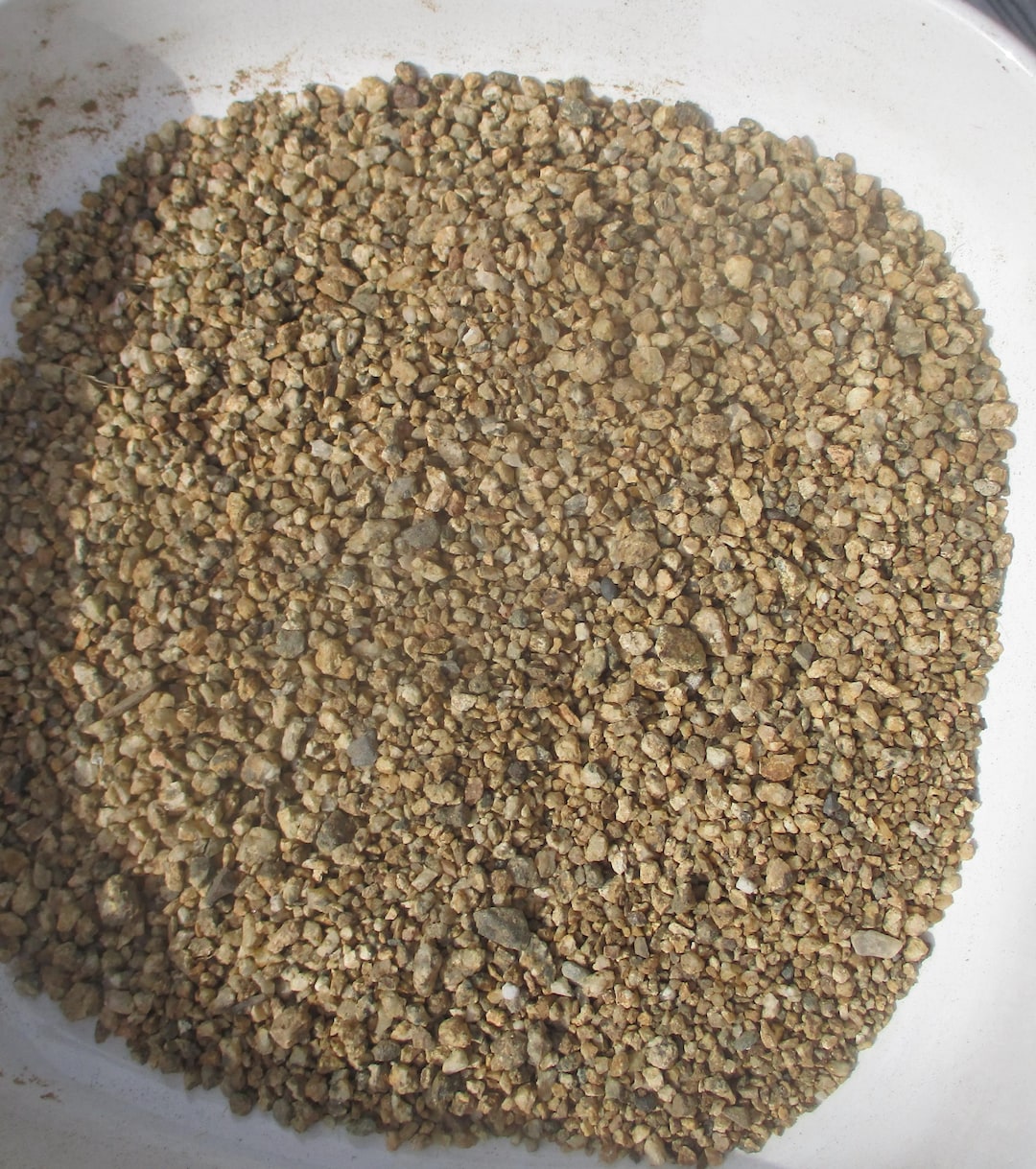 Top Dressing for Germinating Mesembs Seed FREE SHIPPING - Etsy