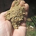 Washed Decomposed Granite FREE SHIPPING - Etsy