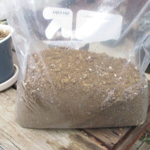Soil Mix for Lithops and Other Mesembs FREE SHIPPING - Etsy