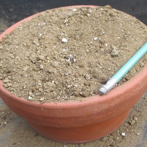Soil Mix for Lithops and Other Mesembs FREE SHIPPING - Etsy