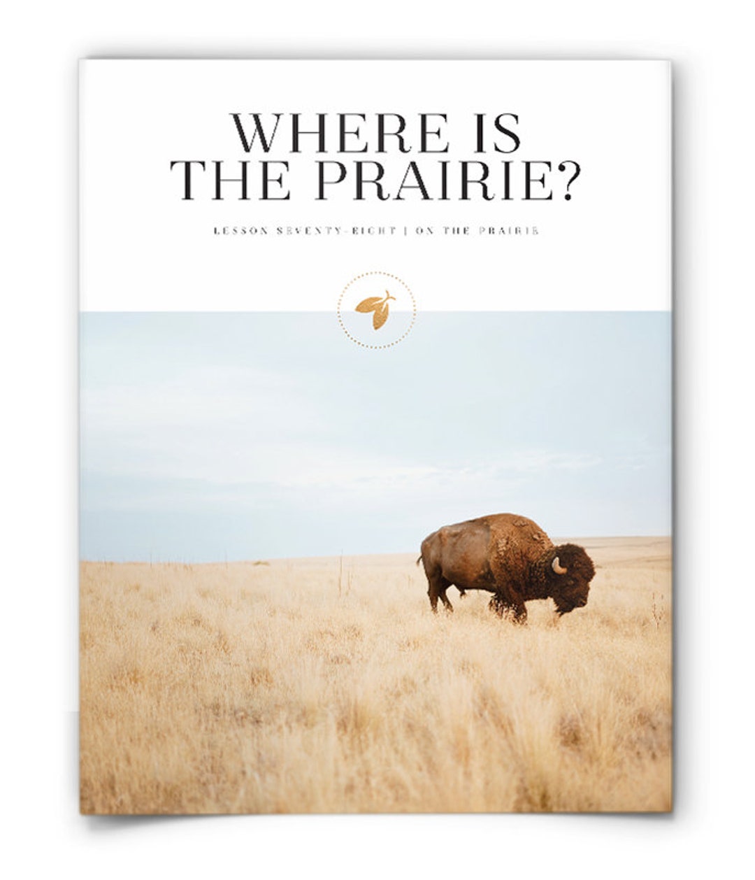 Firefly Nature School - Lesson - on the Prairie - Where is the Prairie ...