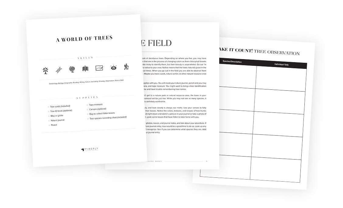 Firefly Nature School - Lesson - Falling Down - A World of Trees - Etsy