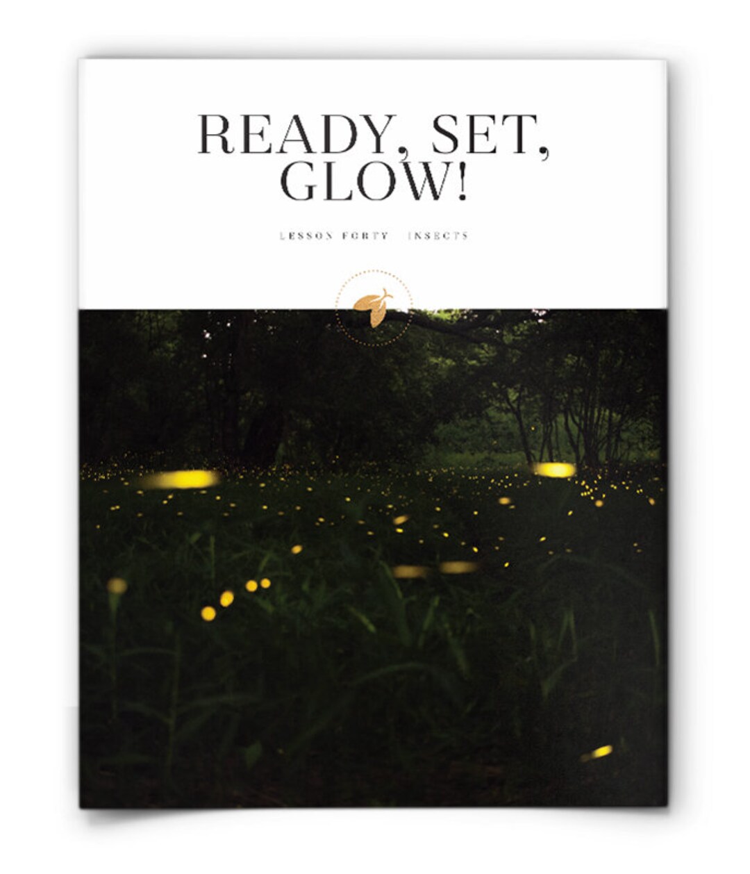 Firefly Nature School - Lesson - Insects - Ready, Set, Glow - Etsy