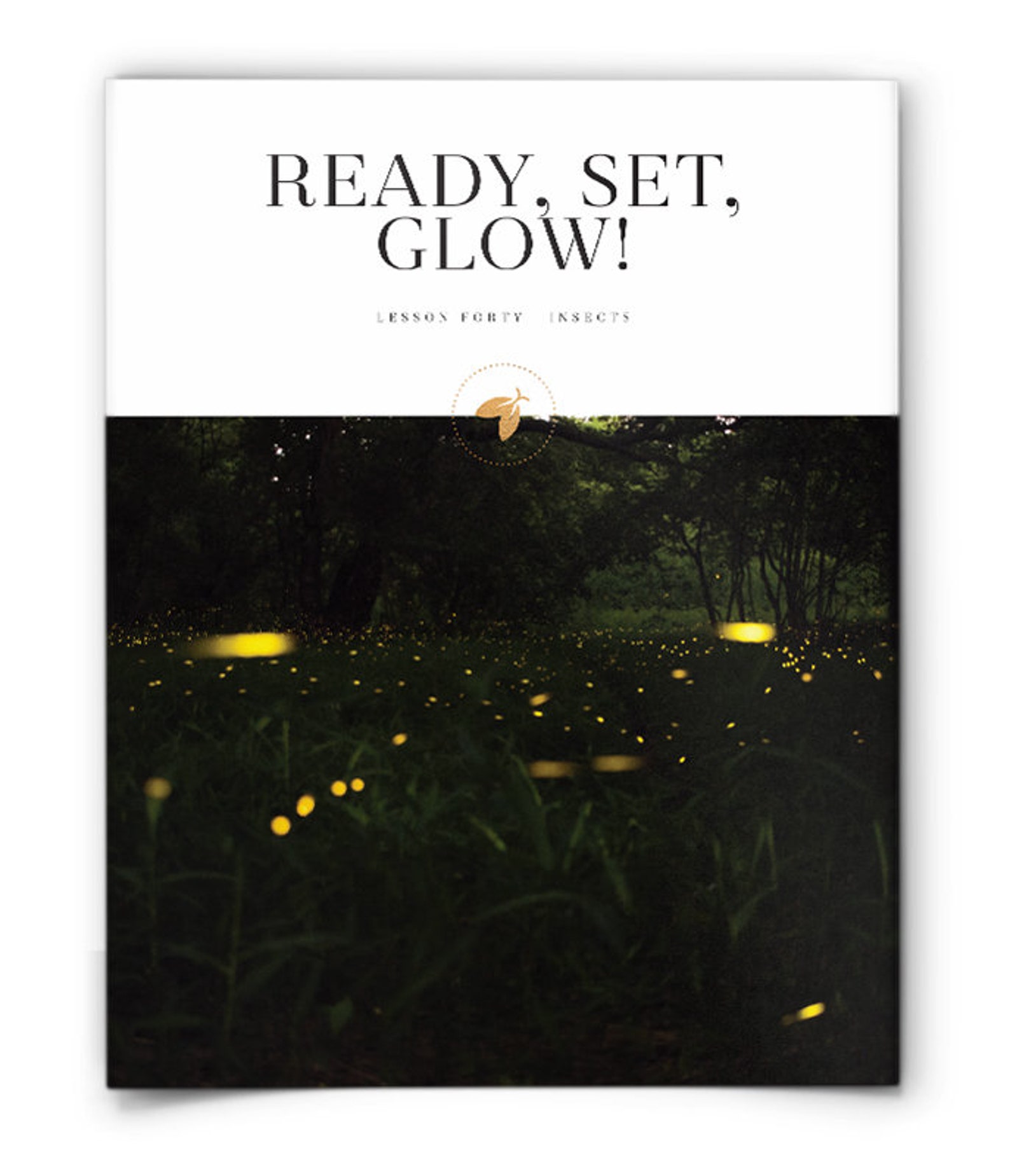 Firefly Nature School - Lesson - Insects - Ready, Set, Glow - Etsy