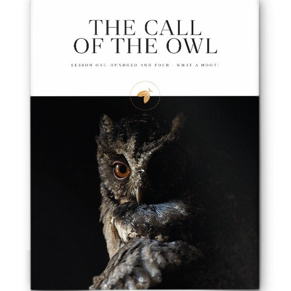 Owl Hoot Call - Etsy
