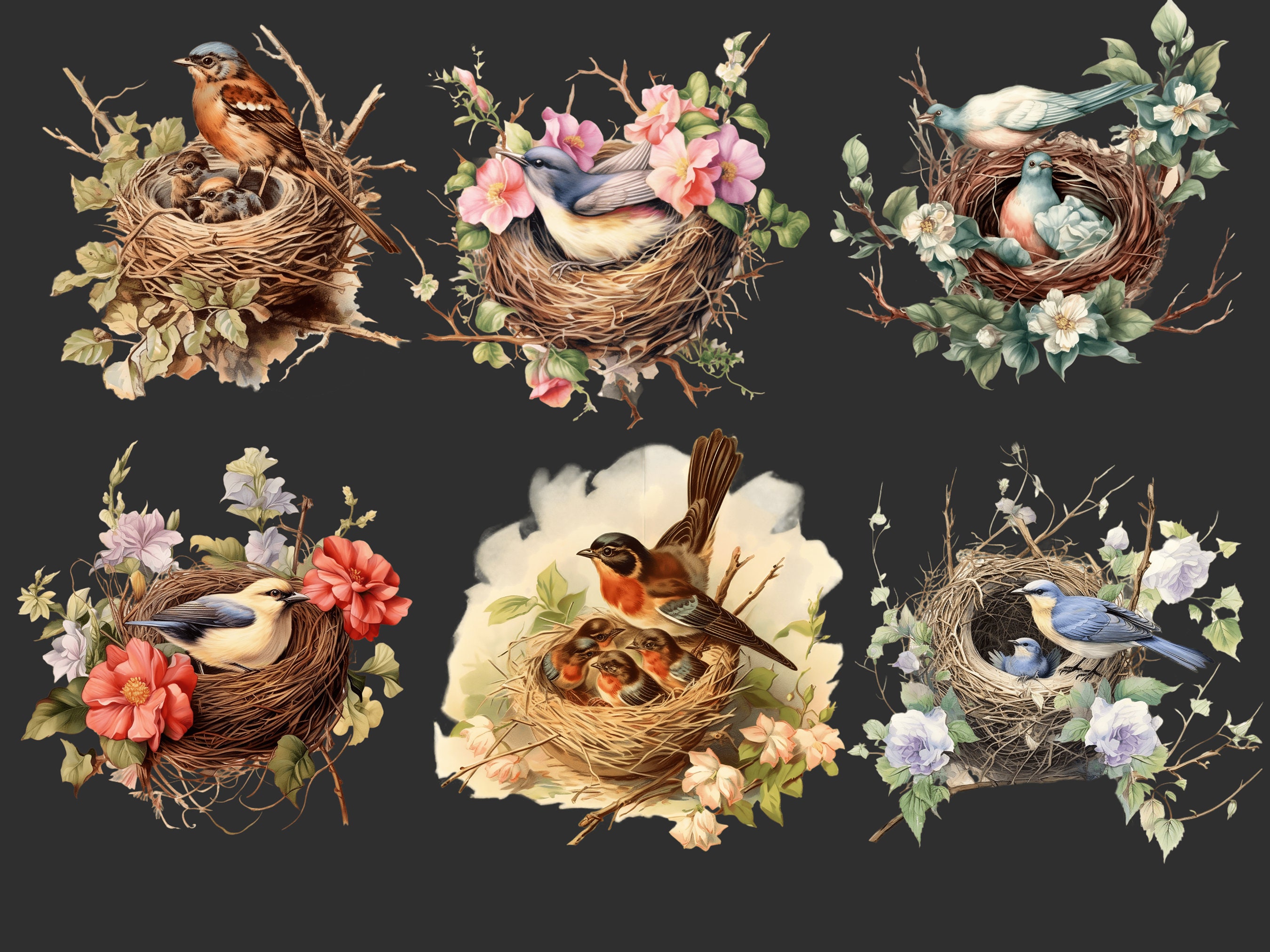 Birdnest Clipart, Bird's Nest PNG Bundle, Bird Nests Clip Art, Birds ...