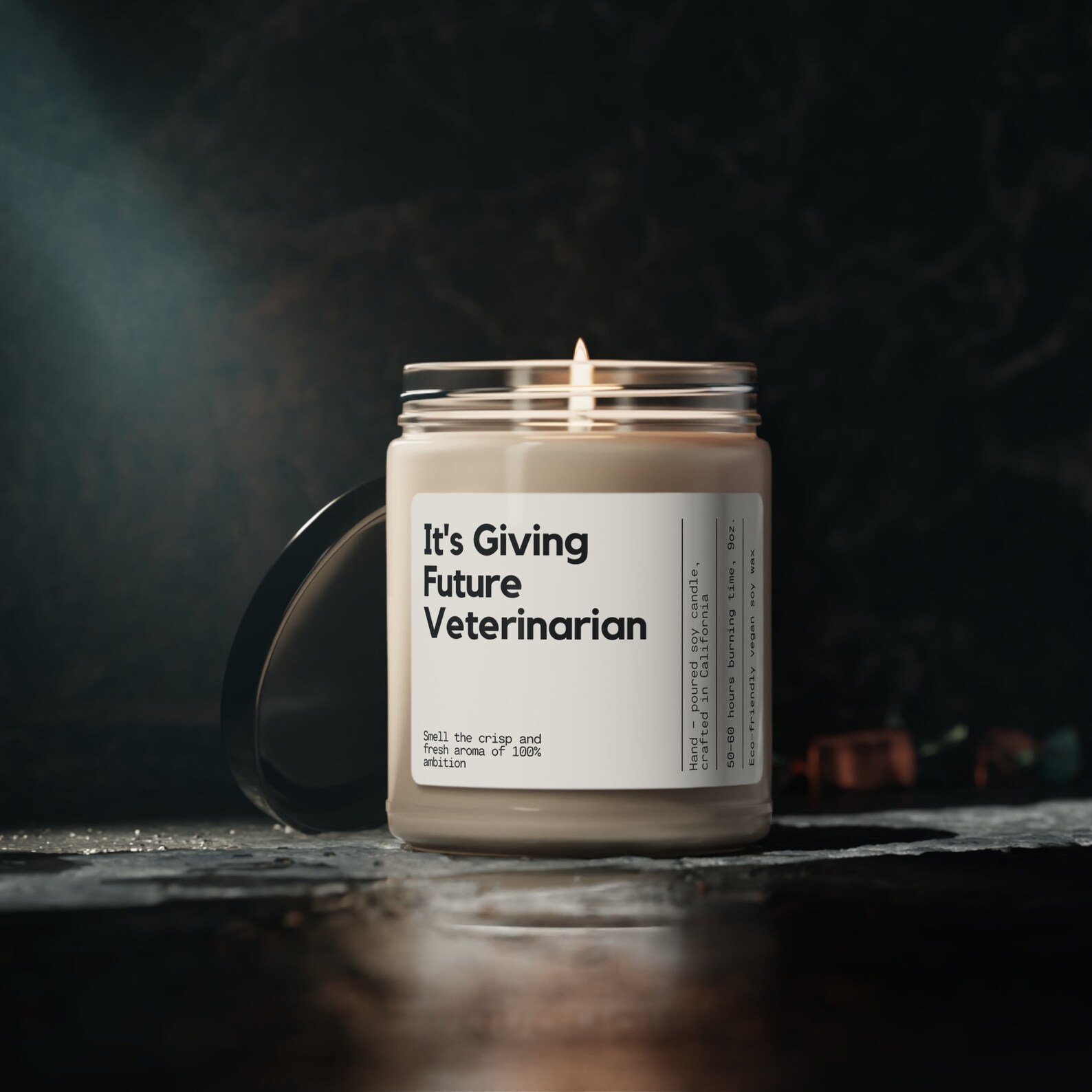 Veterinary Student Gift It's Giving Future Veterinarian Funny Candle ...