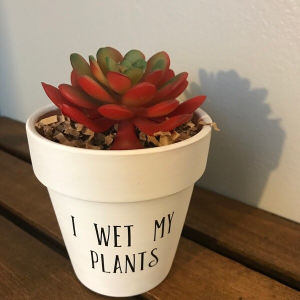 Pun Flower Pots - Etsy
