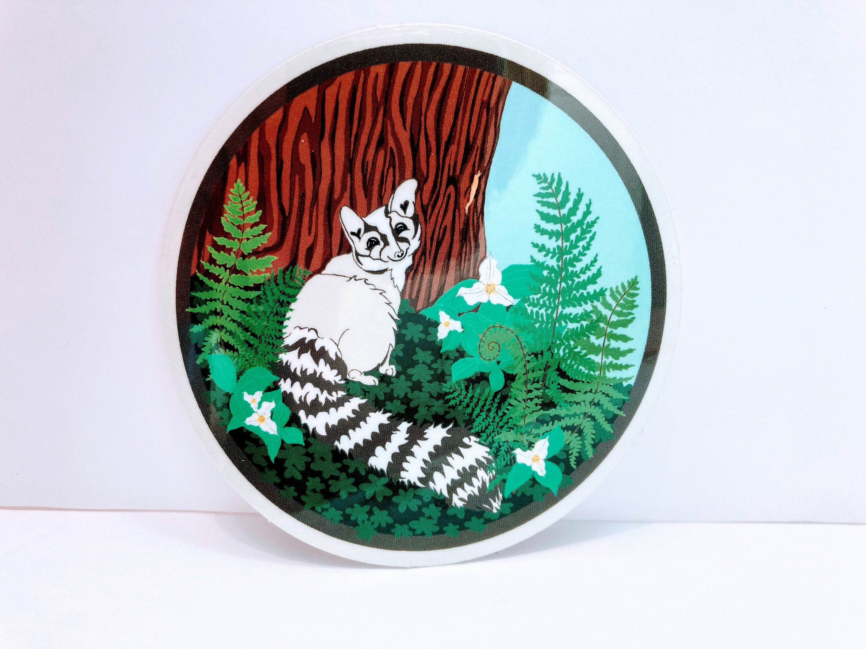 Ring-tailed Cat Sticker/decal in the Redwood Forest With Trilliums - Etsy