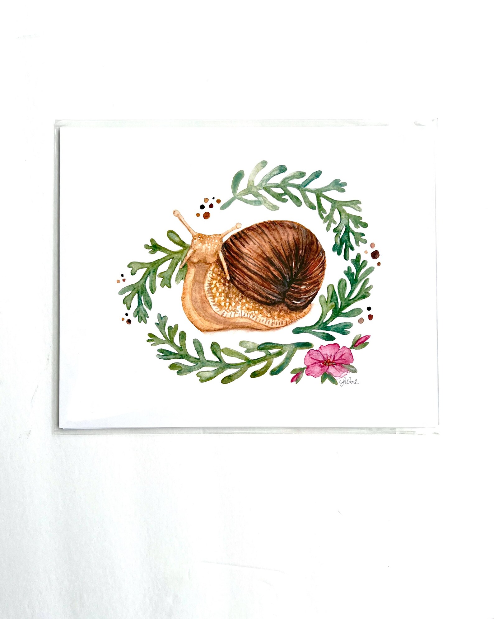 Floral Snail Watercolor Art Print - Etsy
