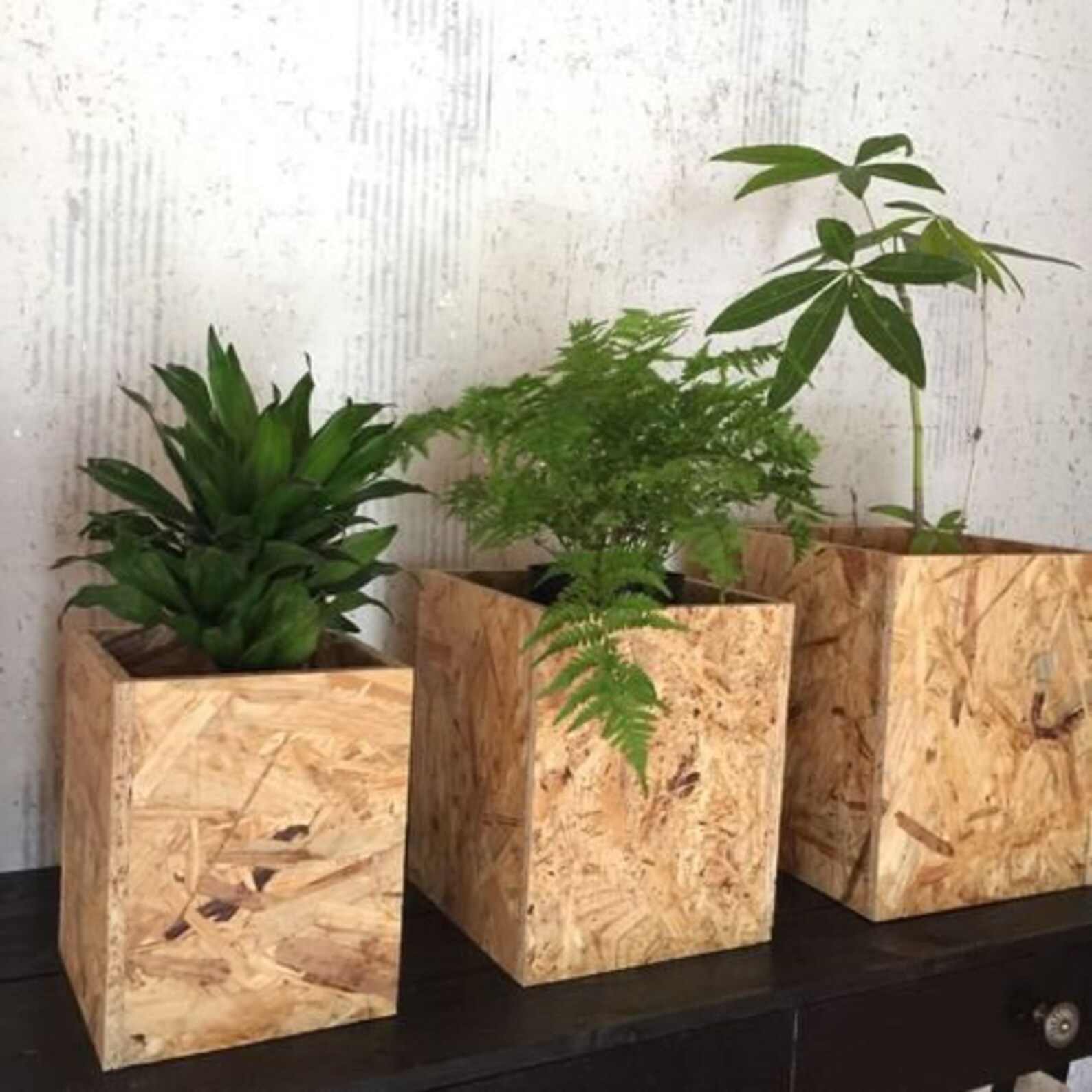 OSB Planters/ Plant Pots | Etsy