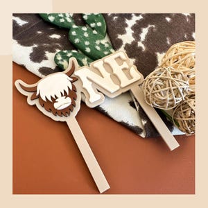 My First Rodeo Cake Topper|highland Cow One Cake Topper|western First ...