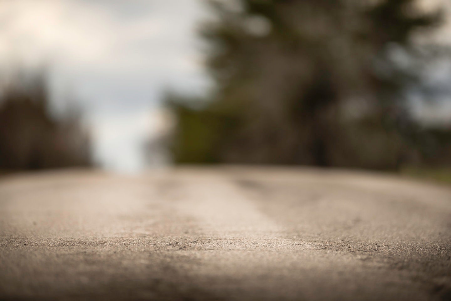 10 Digital Backgrounds/backdrops - Etsy