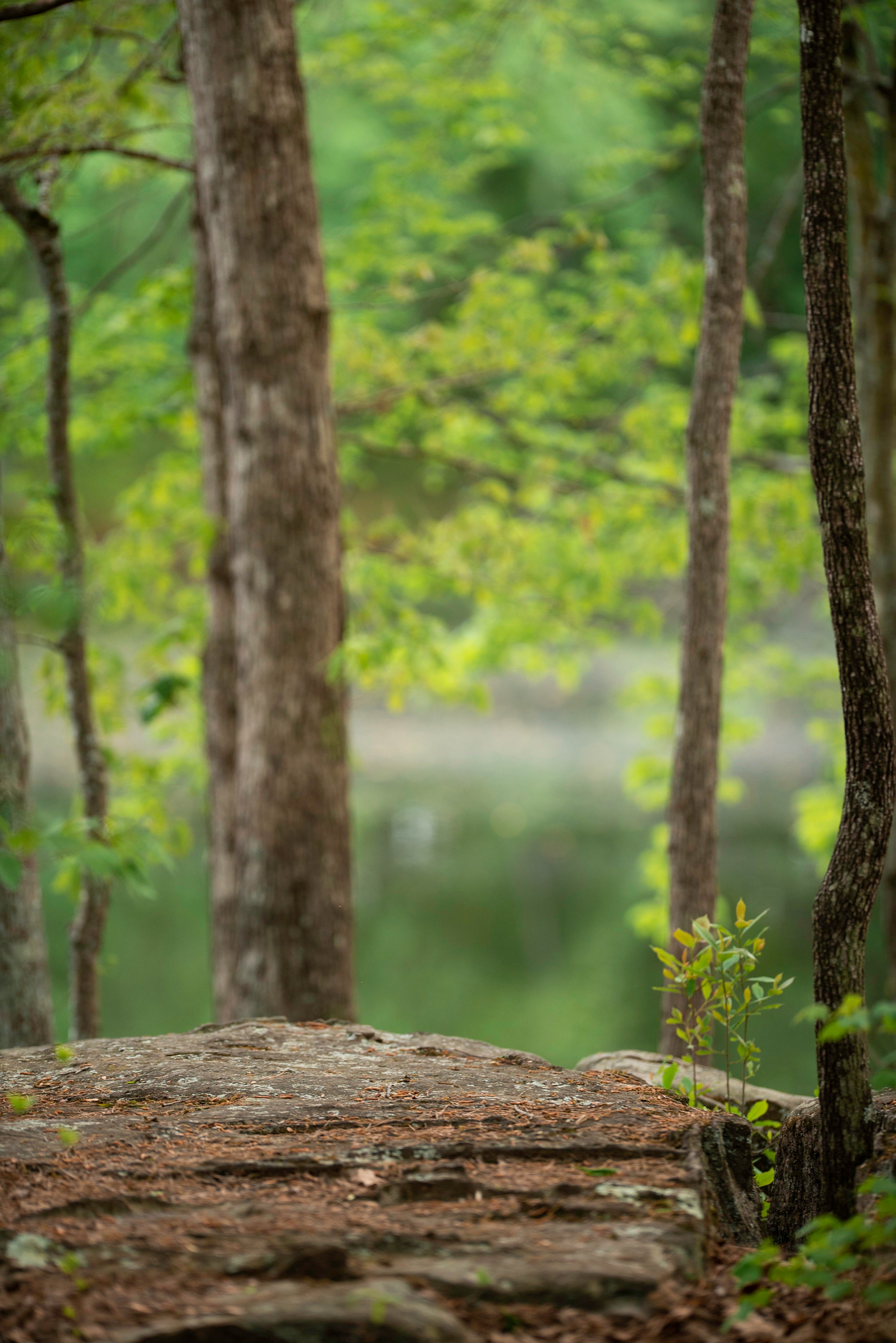 7 Digital Backgrounds/backdrops - Etsy