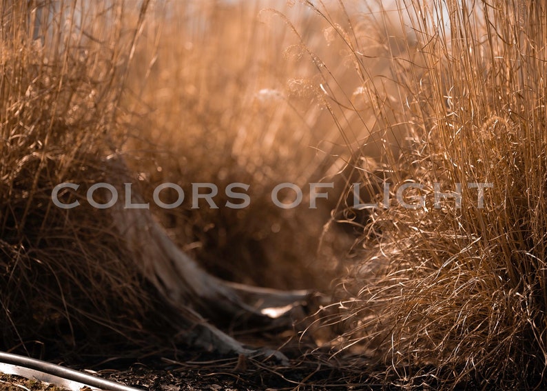 10 Backgrounds for Green Screen Digital Download - Etsy