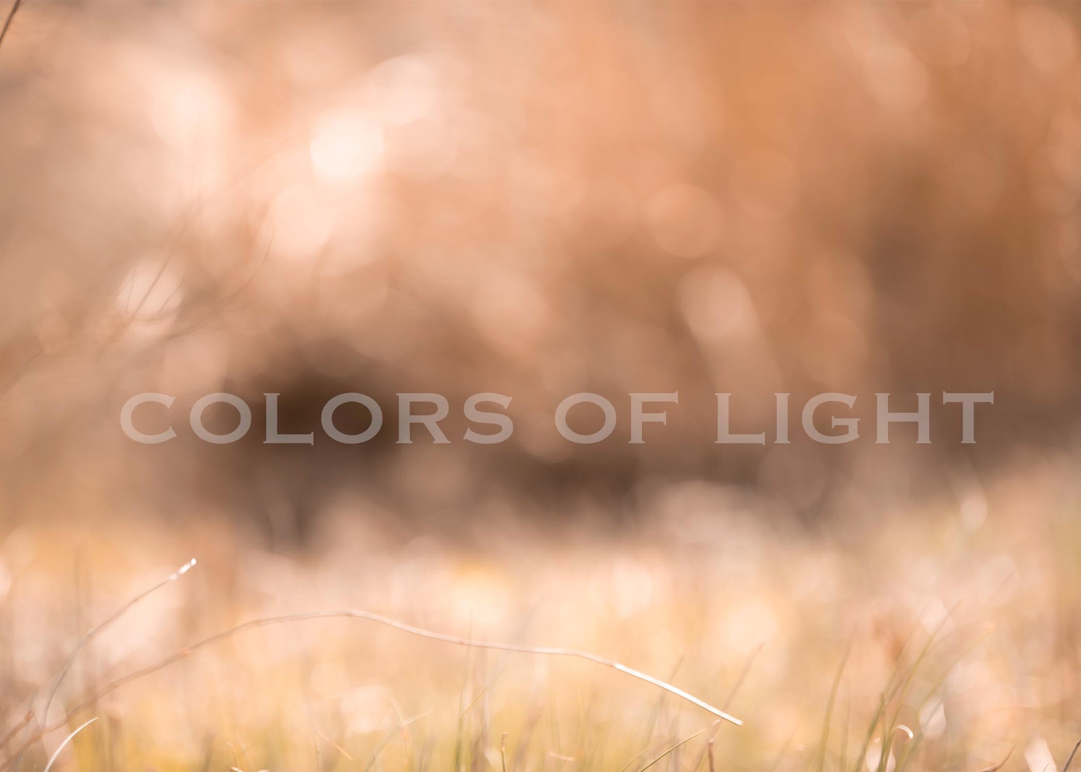 10 Backgrounds for Green Screen Digital Download - Etsy