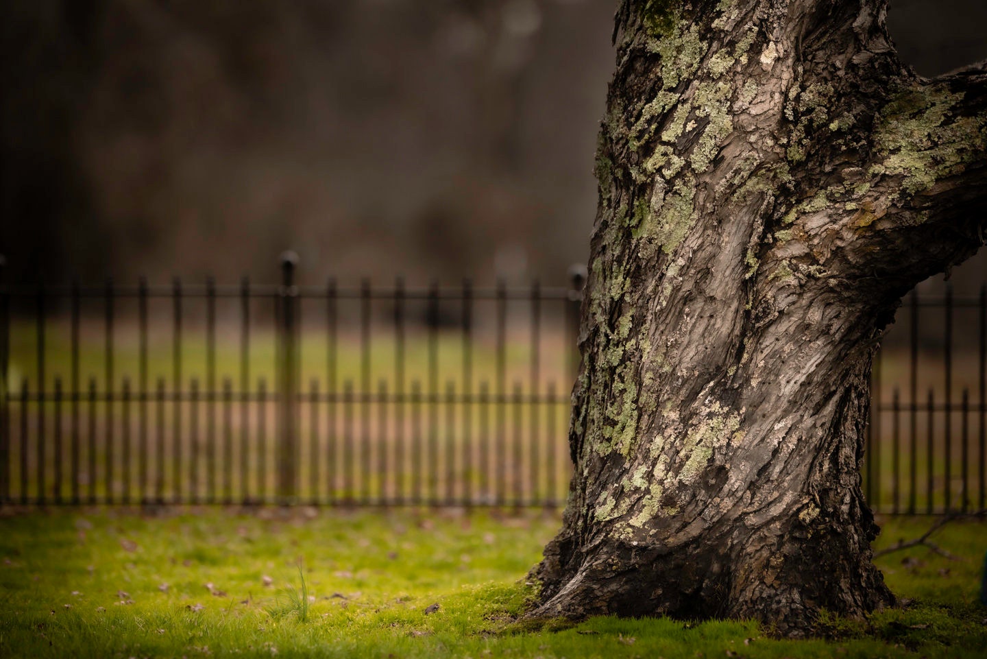 3 Digital Backgrounds/backdrops Download for Photoshop - Etsy