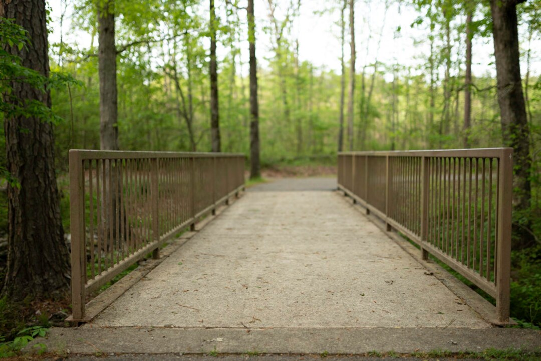 Bridge Background/backdrop - Etsy