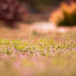 10 Backgrounds for Green Screen Digital Download - Etsy