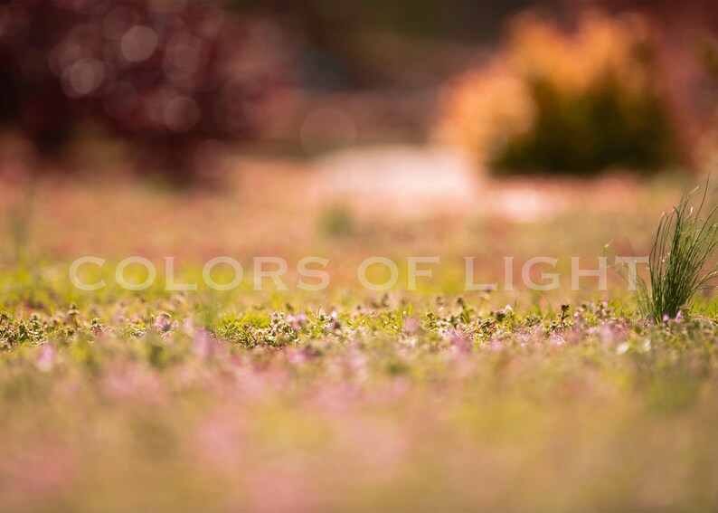 10 Backgrounds for Green Screen Digital Download - Etsy