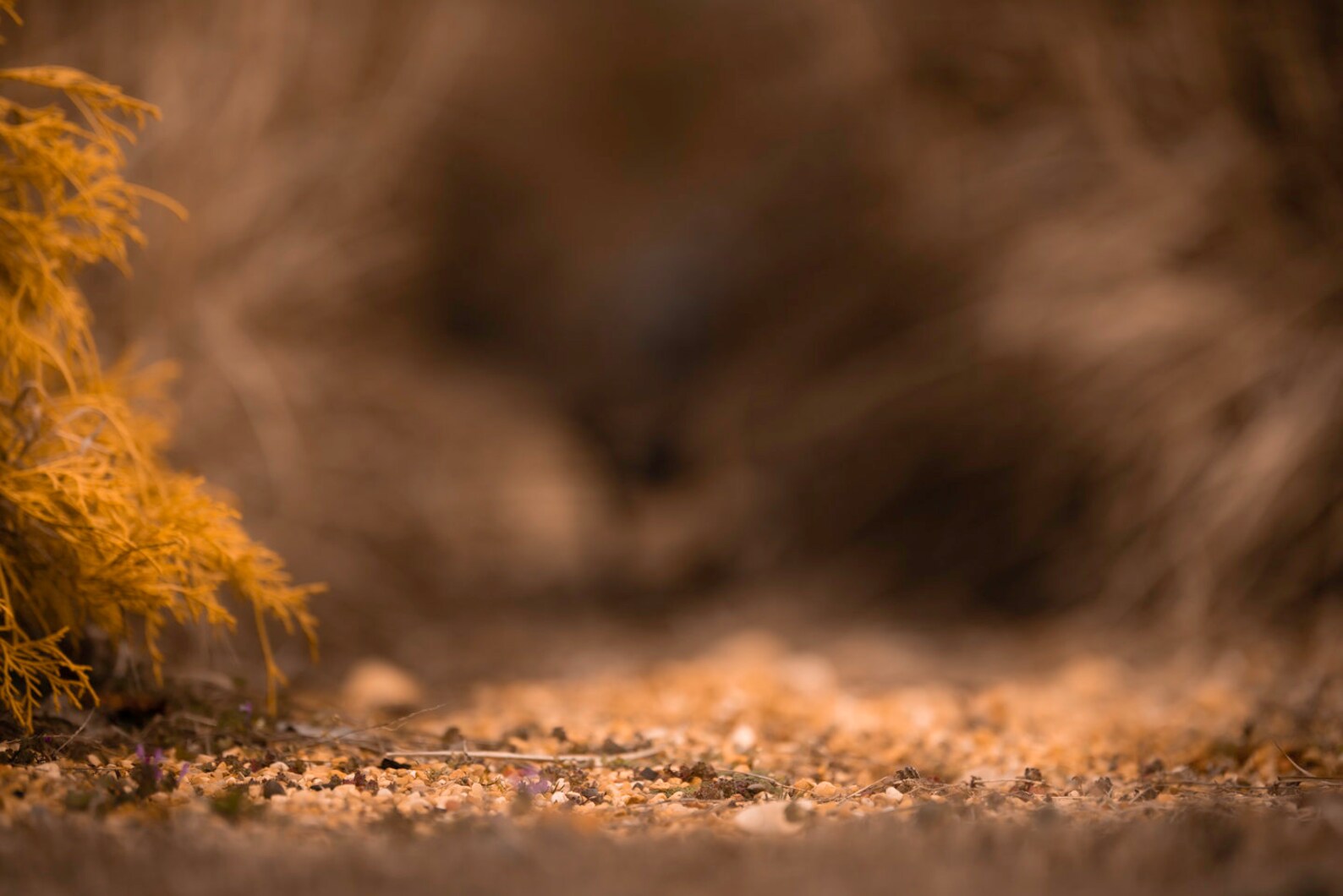 10 Digital Backgrounds/backdrops - Etsy