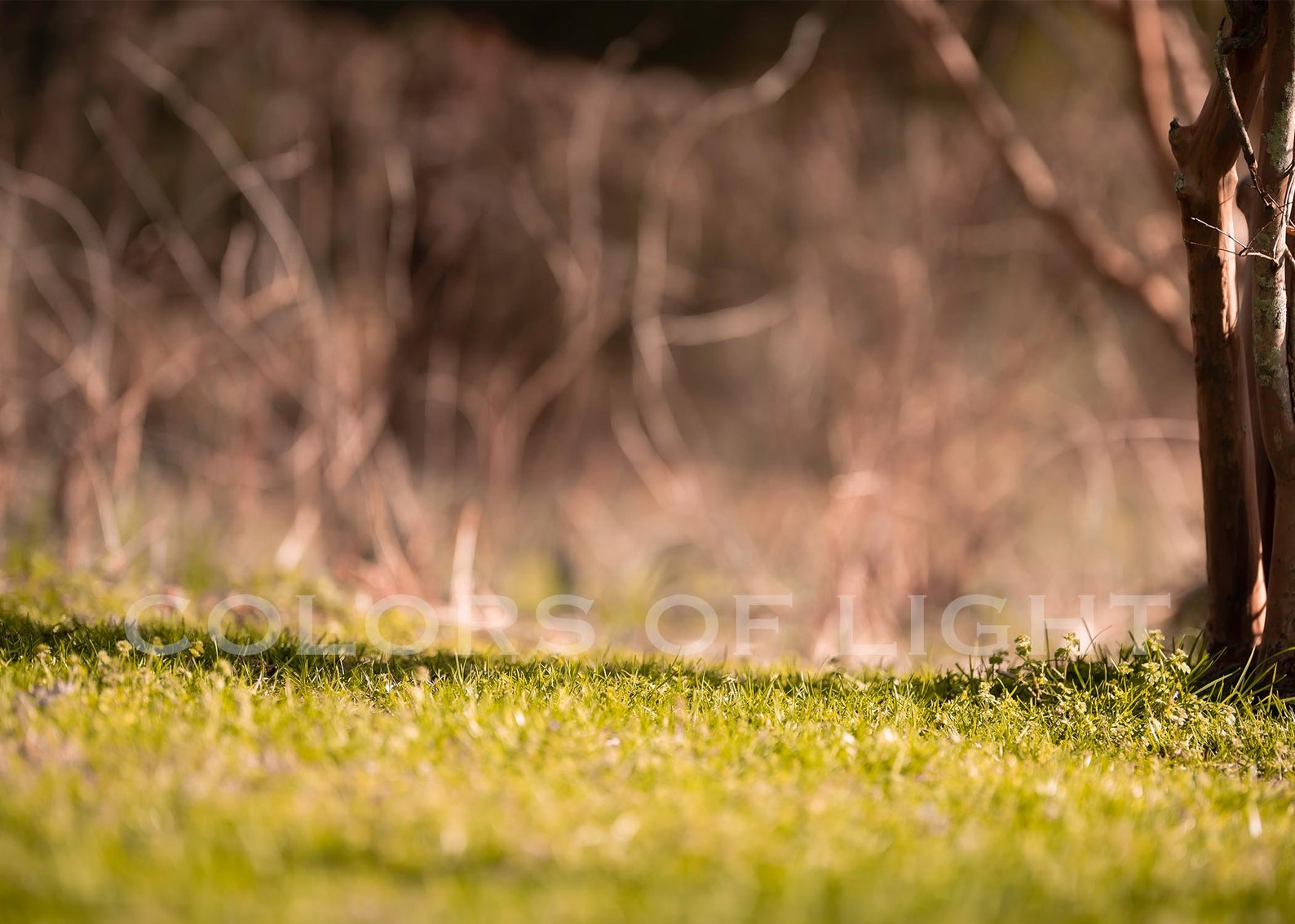 10 Backgrounds for Green Screen Digital Download - Etsy