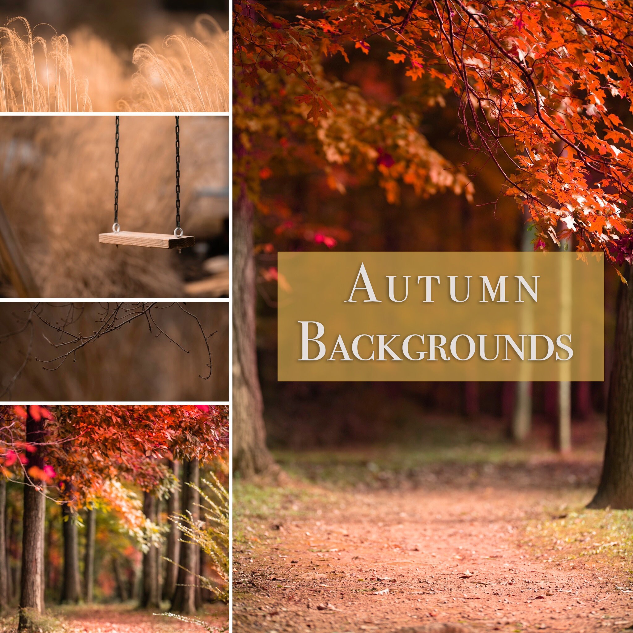 Fall Backgrounds/backdrops - Etsy