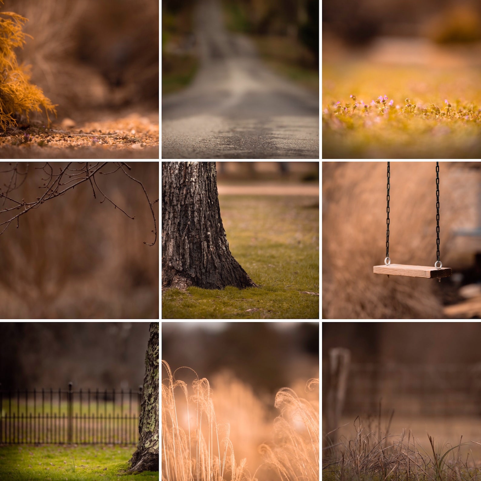 10 Digital Backgrounds/backdrops - Etsy