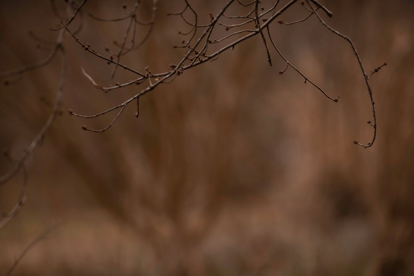 10 Digital Backgrounds/backdrops - Etsy