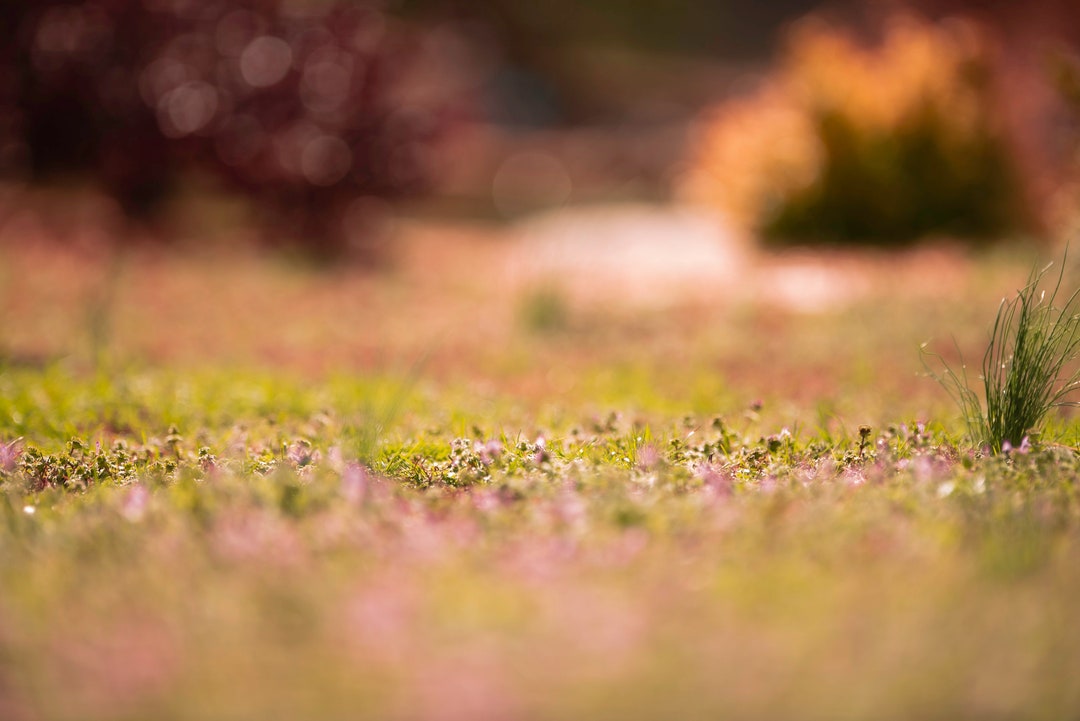 Digital Background/backdrop Instant Download - Etsy