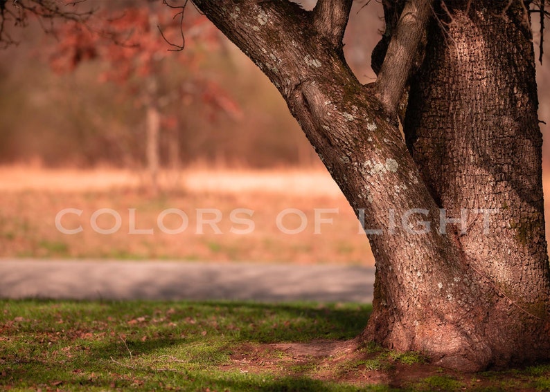 10 Backgrounds for Green Screen Digital Download - Etsy