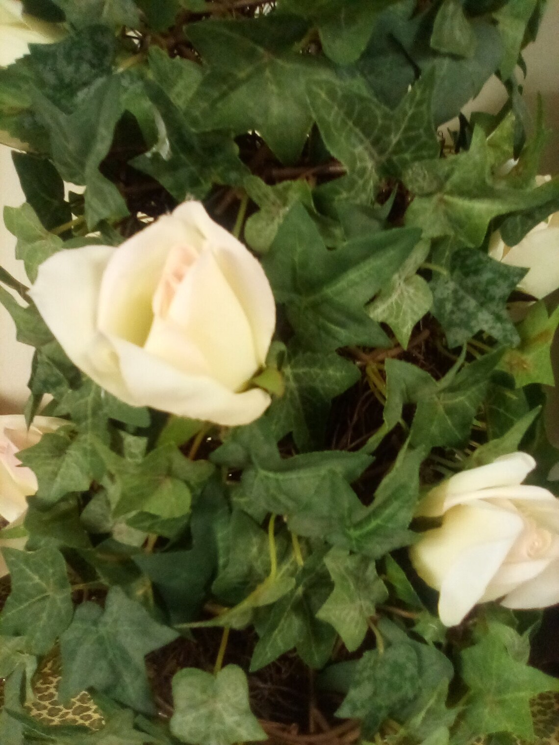 Ivy Topiary of Vines and Cream Roses Tipped With Blush in a | Etsy